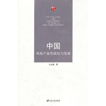 中国风电产业的演化与发展