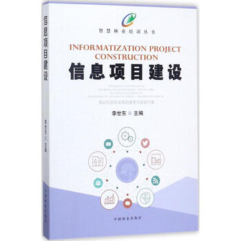 信息项目建设