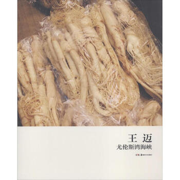 王迈  作 书籍