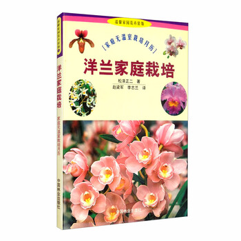 洋兰家庭栽培//温馨家园花卉装饰（7）