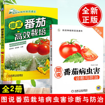 全2册 棚室番茄高效栽培+图说番茄病虫害诊断与防治 高效种植番茄书籍 西红柿栽培技术大全书籍 大棚