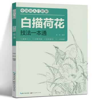 中国画入门精解-白描荷花-技法一解通