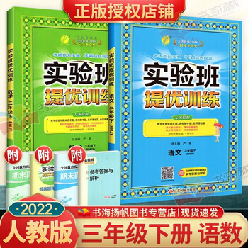 小学实验班提优训练三年级 下册 语文数学2本 人教版