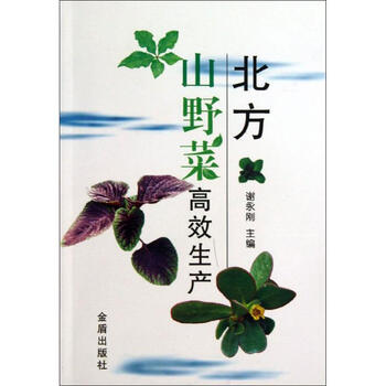北方山野菜高效生产 谢永刚 编 作 书籍