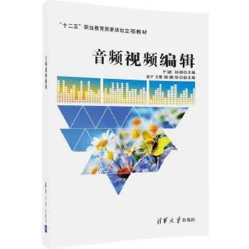 高频视频编辑 9787302426080 于斌、孙顺、赵宁、王蕾、陈爱华 清华大学出版社