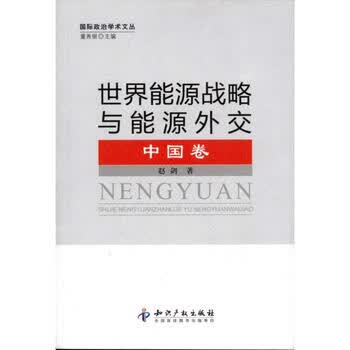 世界能源战略与能源外交？中国卷