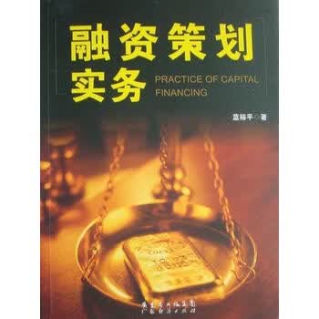 融资策划实务金融与投资融资策划 图书