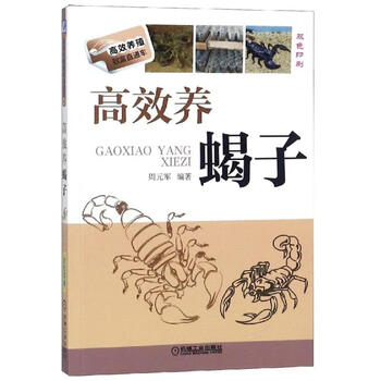 高效养蝎子