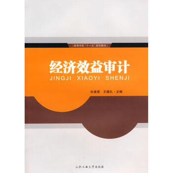 经济效益审计 杜建菊 王德礼 作 书籍