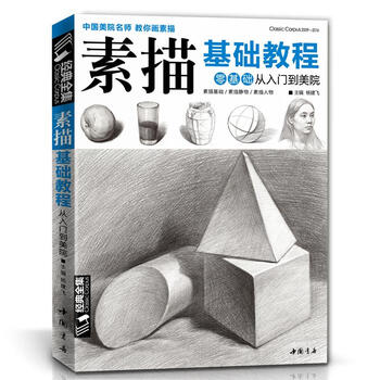 素描基础教程 杨建飞 主编 书籍