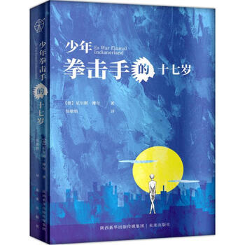少年拳击手的17岁