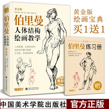 伯里曼人体结构绘画教学 中国美术学院出版社 黄金版2020年 人体结构绘画教学