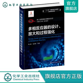 化工过程强化关键技术丛书--多相反应器的设计、放大和过程强化