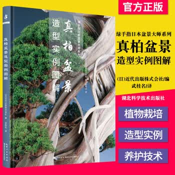 真柏盆景造型实例图解 日本盆景大师系列 观赏园艺图解盆景爱好者观赏园艺彩图版盆景制作大全盆景造型赏
