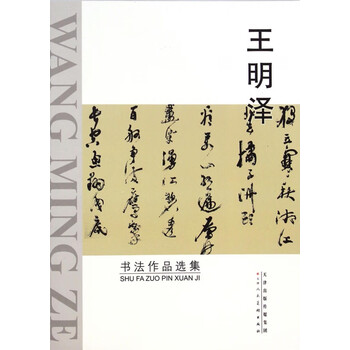 王明泽书法作品选集