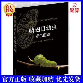 2021新书 鳞翅目幼虫彩色图鉴 石宝才 我国常见的191种鳞翅目昆虫识别鉴定方法书籍 物种形态关键