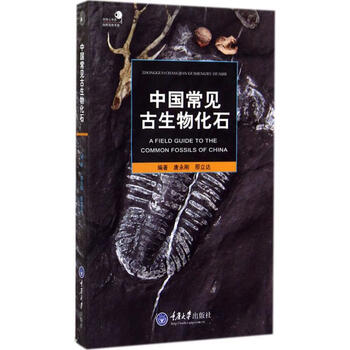 中国常见古生物化石