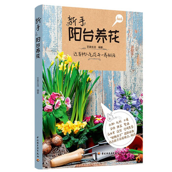 新手阳台养花