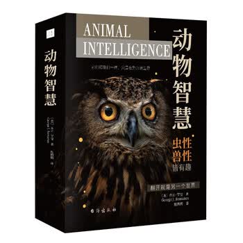 动物智慧
