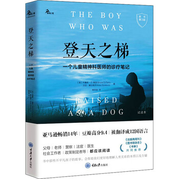 登天之梯 一个儿童精神科医师的诊疗笔记 原书第3版 图书