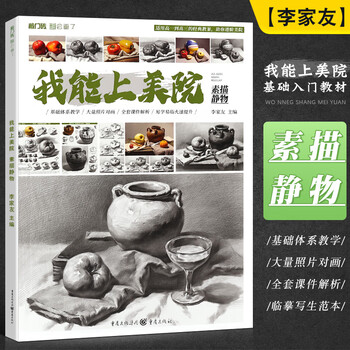 正版我能上美院 素描静物 敲门砖李家友素描基础单体塑造小组合完整稿步骤临摹范本素材 重庆亿卷 美术基础入门教材教程画册书籍