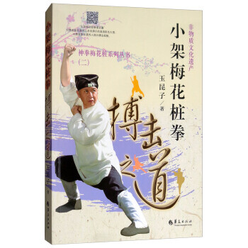 小架梅花桩拳【正版图书】