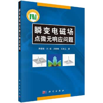 瞬变电磁场点微元响应问题