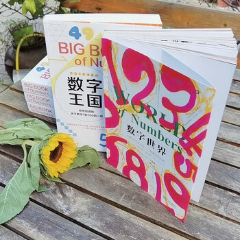 数字游戏儿童益智2本套装 (澳)亚当·斯潘塞