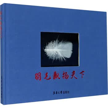 羽毛飘扬天下
