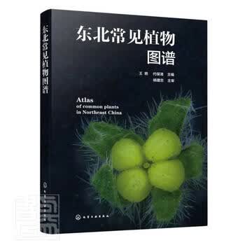 东北常见植物图谱王艳化学工业出版社9787122380081 科普读物书籍