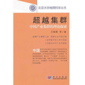 集群:中业集群的理论探索