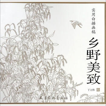 乡野美致 丁立伟 绘 天津杨柳青出版社