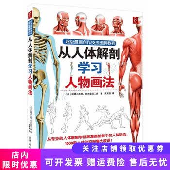 从人体解剖学习人物画法