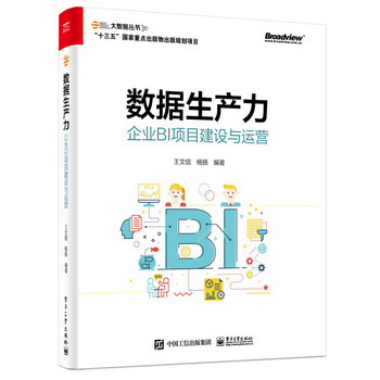 数据生产力：企业BI项目建设与运营