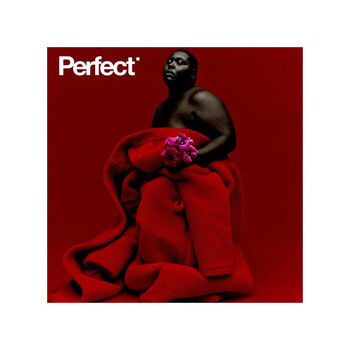 【包邮】【订阅】杂志Perfect 生活时尚杂志 英国英文版 年订2期