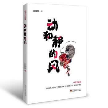 正版动和静的风武汉大学出版社汪曾祺