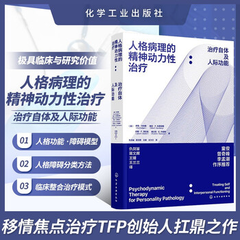 人格病理的精神动力性治疗 治疗自体及人际功能 心理治疗精神动力 人格障碍心理动力治疗书