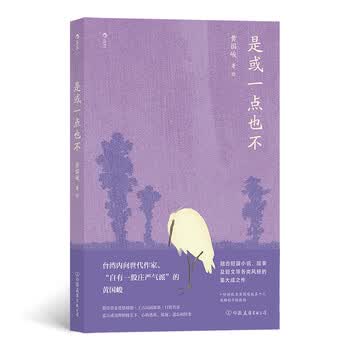 正版  是或一点也不 黄国峻著 融合小说故事及短文的集大成之作 华语文学当代文学小说