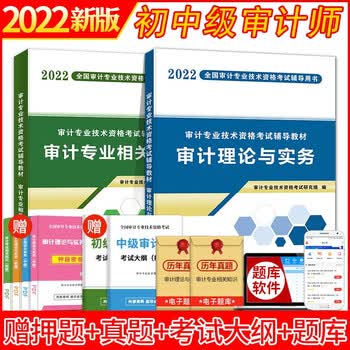 2022审计师考试用书 审计师初级 审计专业技术资格考试 审计理论与实务 审计专业相关知识 初级审计师 教材