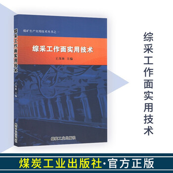 综采工作面实用技术 煤矿生产实用技术丛书之一 煤炭工业出版社 综采工作面实用技术