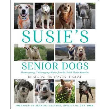 Susie's Senior Dogs