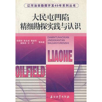 大民屯凹陷精细勘探实践与认识 陈振岩 石油工业 9787502159795