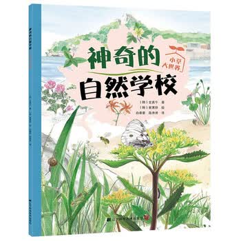 神奇的自然学校 种子发芽了