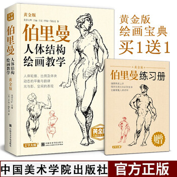 伯里曼人体结构绘画教学（2020年黄金版版）中国美术学院出版社  素描绘画教程 头部构图教学技法速写