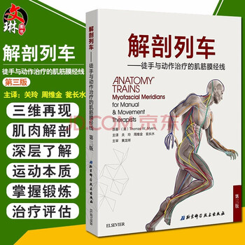 现货速发 解剖列车徒手与动作治疗的肌筋膜经线第三版3关玲黄龙祥图谱模型书籍医学基础教材工具人体解刨彩