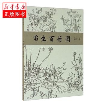 写生百荷图