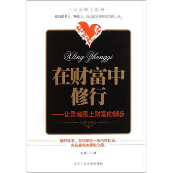 正版 在财富中修行 让灵魂跟上财富的脚步 毛凌云 北京工业大学出版社