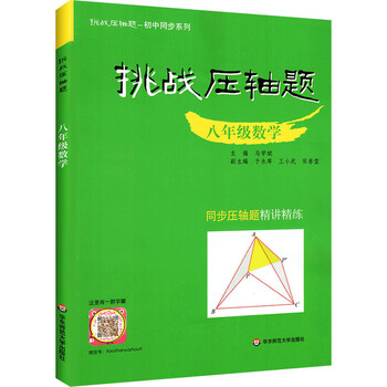 八年级数学/挑战压轴题初中同步系列 马学斌  书籍