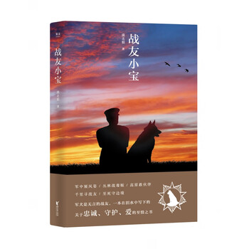 战友小宝