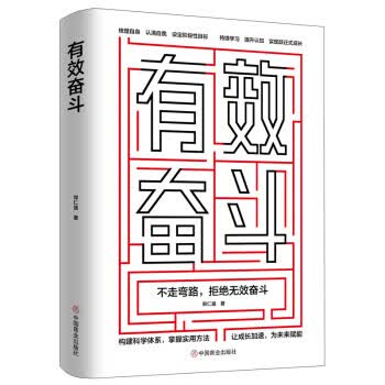 高阶非线性系统的控制与分析 刘亮等 科学出版社
